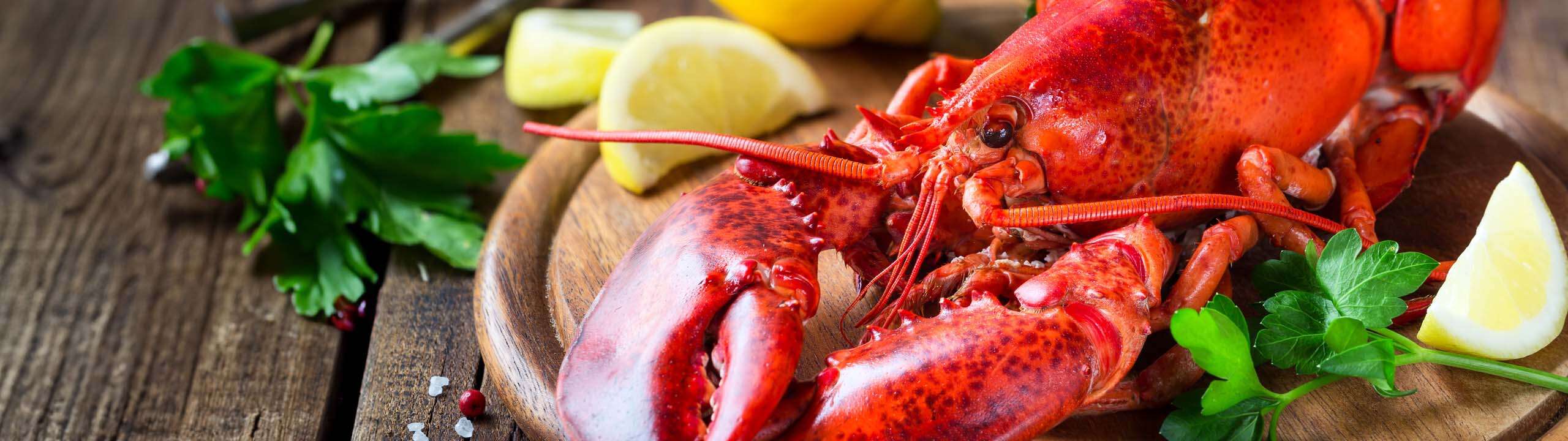 Levend koken kreeften onacceptabel voor meeste Nederlanders